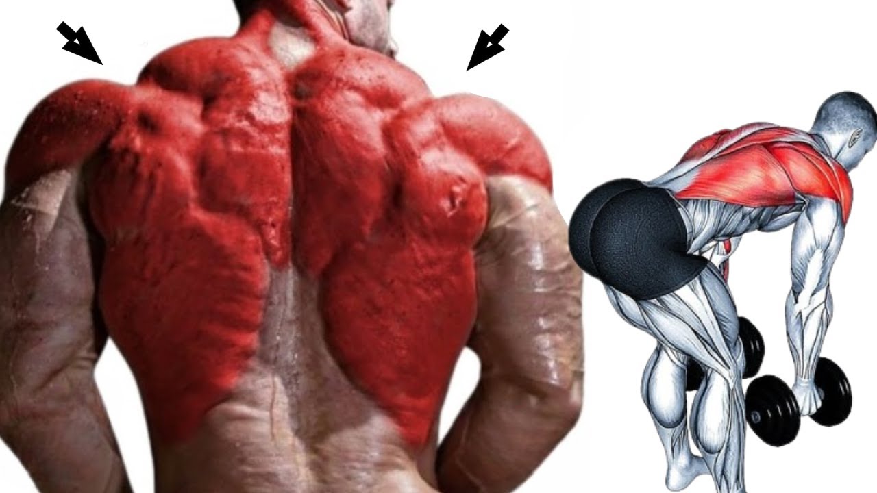 How to Grow Your Back Thicker and Stronger | Complete Back Workout ...