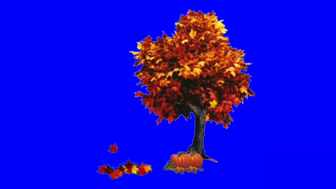 Tree/Plant Green Screen Video Effect 2020 - YouTube