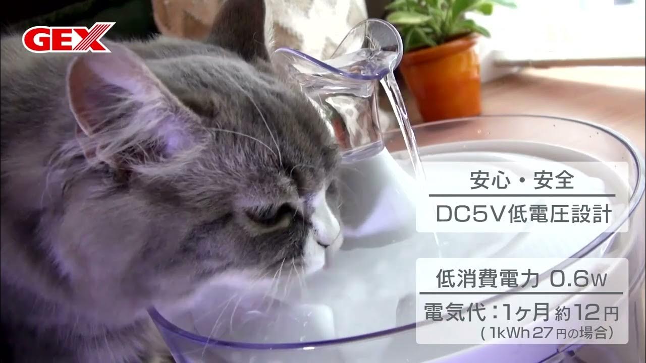 🇯🇵日本 GEX PURE CRYSTAL GLASSY CAT WATER FOUNTAIN 貓用透明智能飲水機 - YouTube
