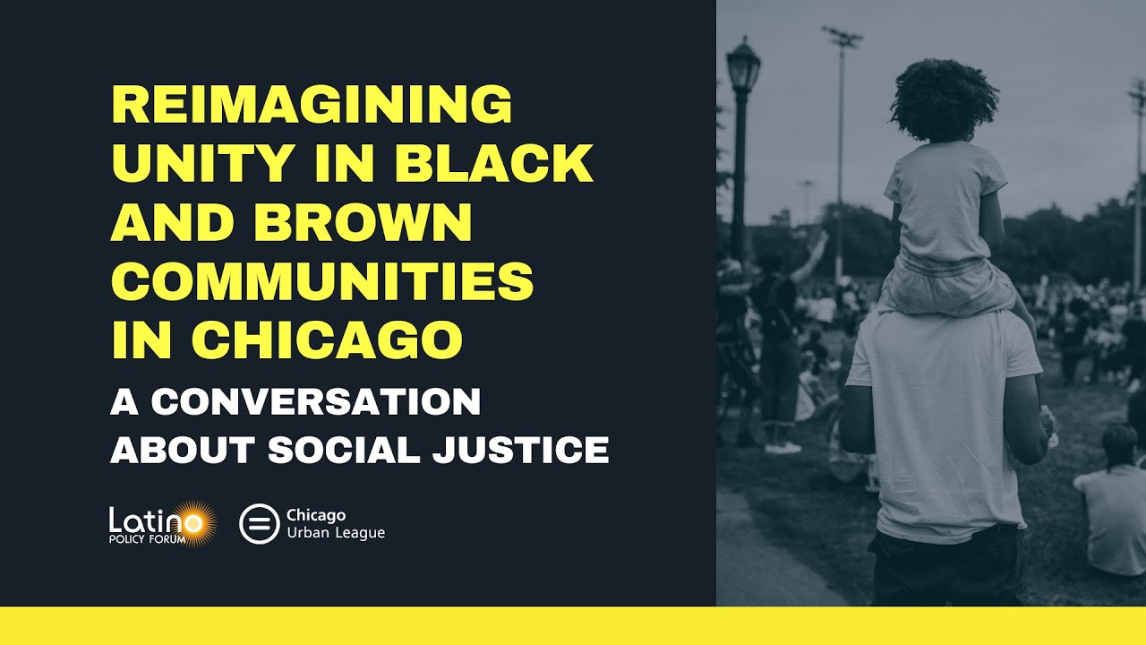 Reimagining Unity in Black and Brown Communities in Chicago: A ...