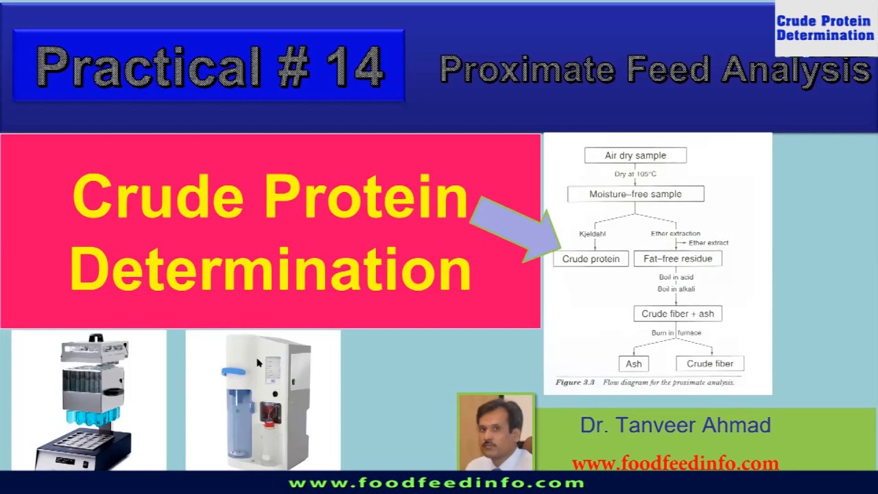 Practical 14 Determination Of Nitrogen Crude Protein In Feed Lecture practical-14-determination-of-nitrogen-crude-protein-in-feed-lecture