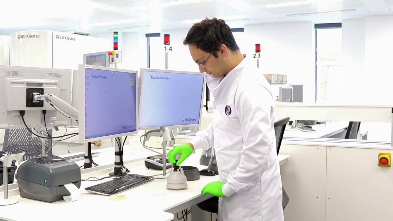 HSL Introduction to Microbiology - YouTube