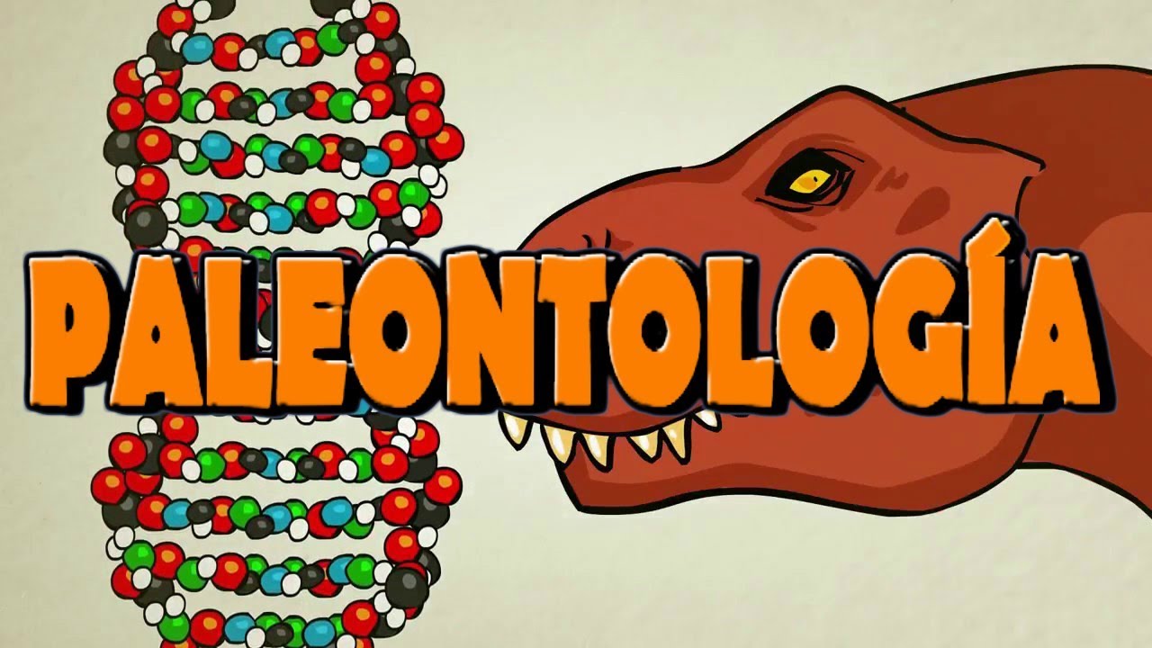 ¿QUÉ SON LOS FÓSILES?-CONCEPTOS BÁSICOS DE LA PALEONTOLOGÍA con SAURIAN ...