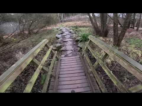 Cannock Chase blue sections and off piste trails - YouTube
