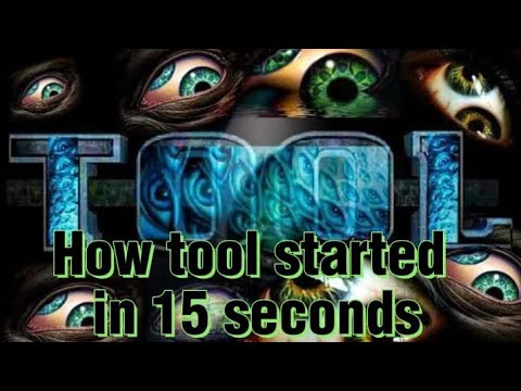How Tool started in 13 secs and grew to be one of the most popular on ...