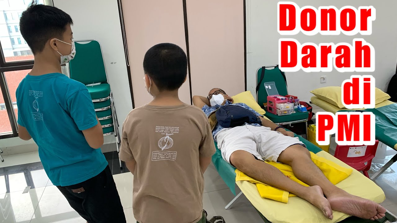 🩸Donor Darah di PMI DKI Jakarta🩸 - YouTube
