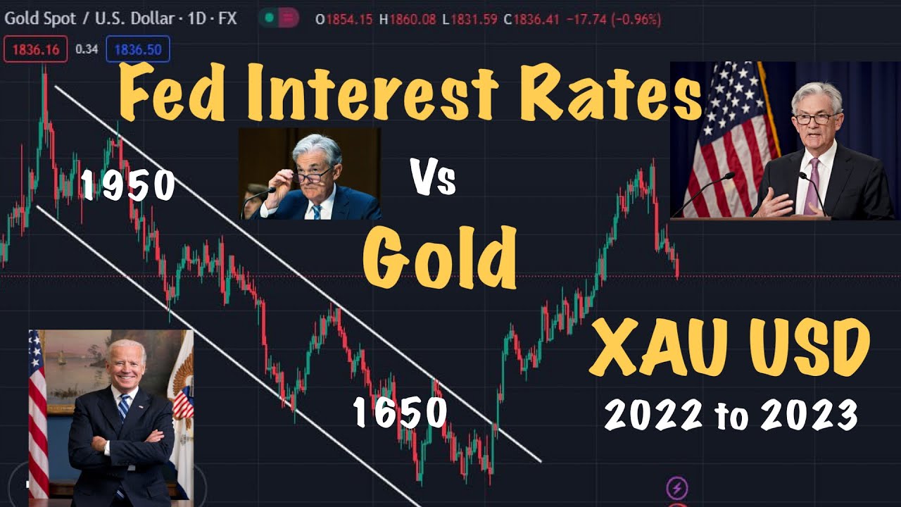Fed Interest Rates vs Gold XAU USD Analysis 2022 to 2023 #Amila Jaz ...