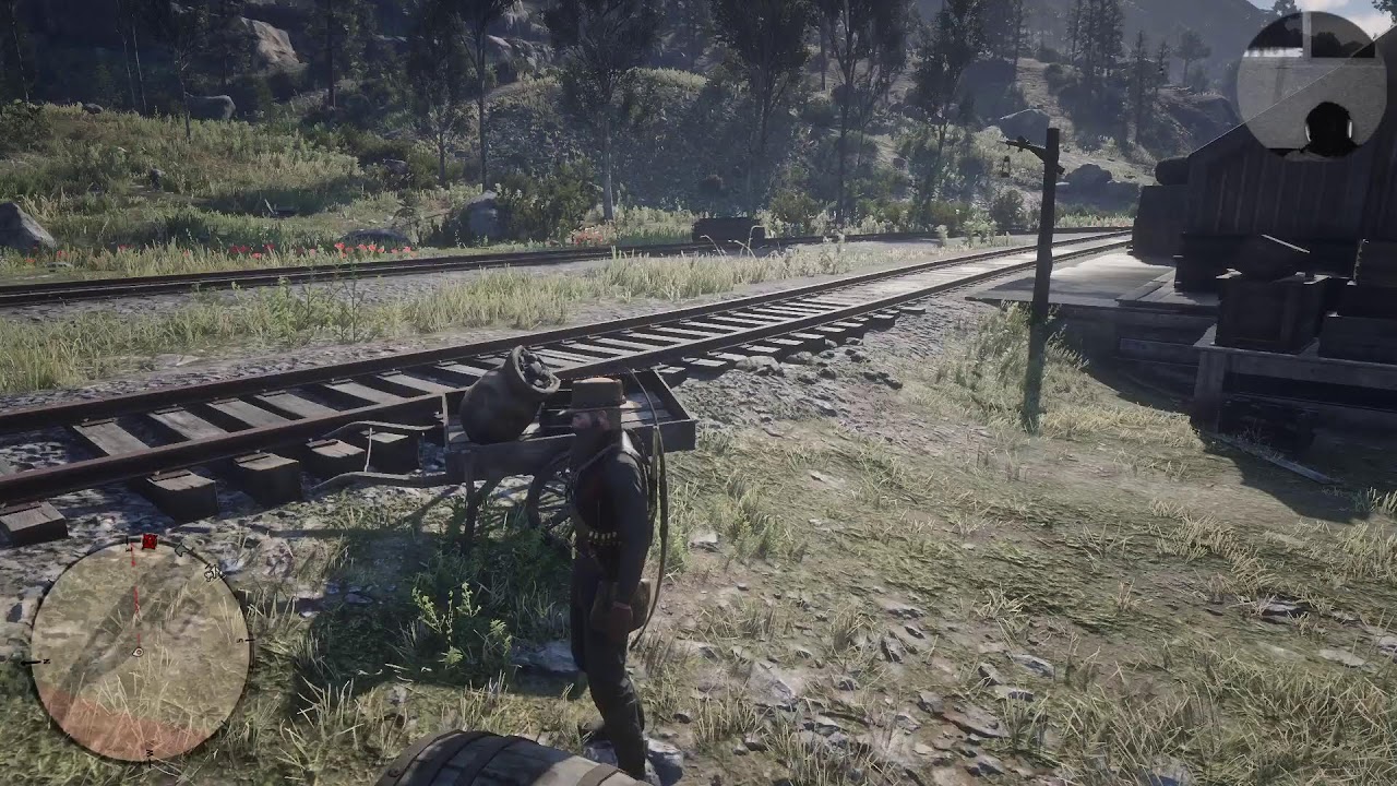 Red Dead redemption 2 (part 8) with Drew Zoo Dat 🥷 - YouTube