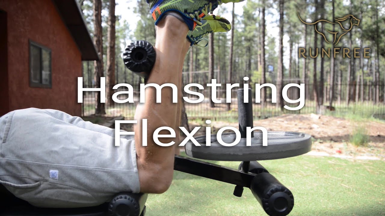 Hamstring Flexion - YouTube