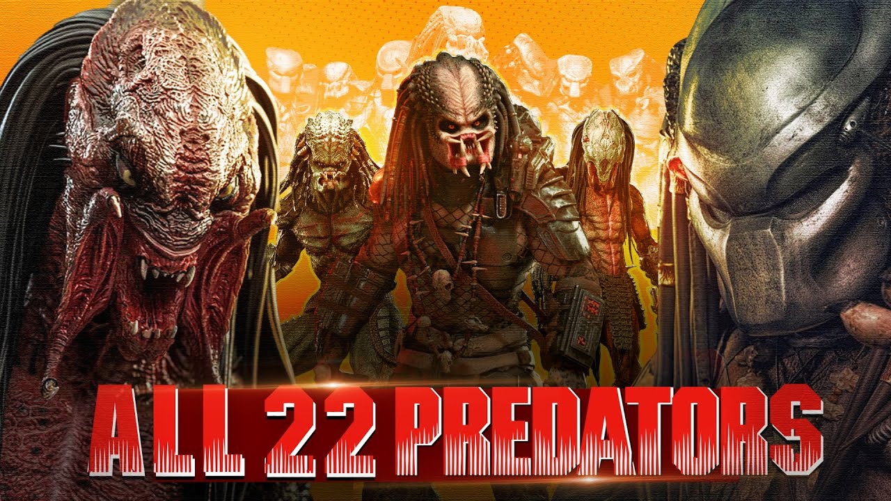 ALL 22 PREDATORS Explained! Yautja Lore and Culture - YouTube