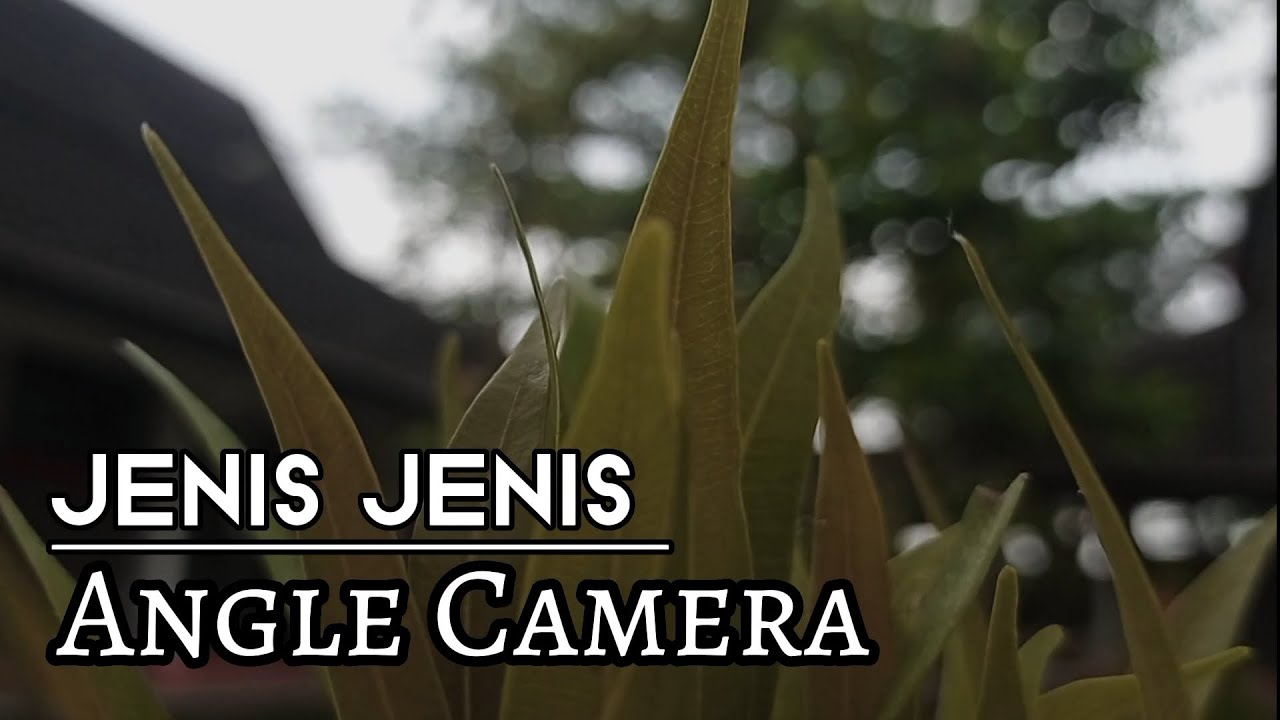 Jenis Jenis Angle Camera. - YouTube