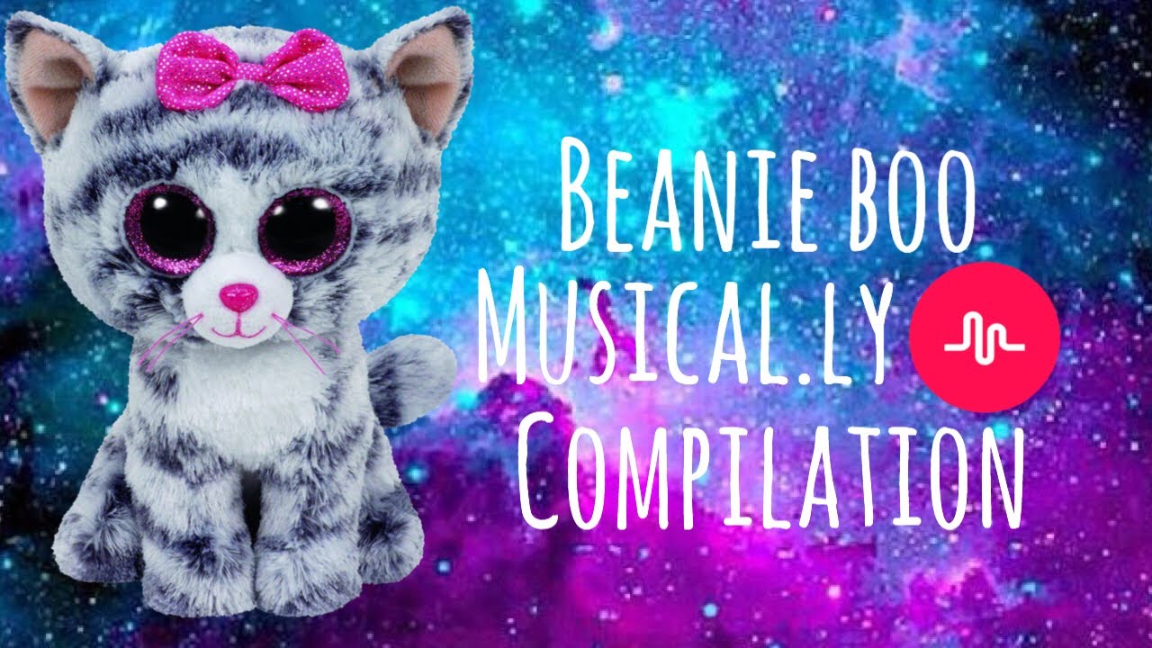 Beanie Boo Musical.ly Compilation! | BeanieBoos101 UK - YouTube