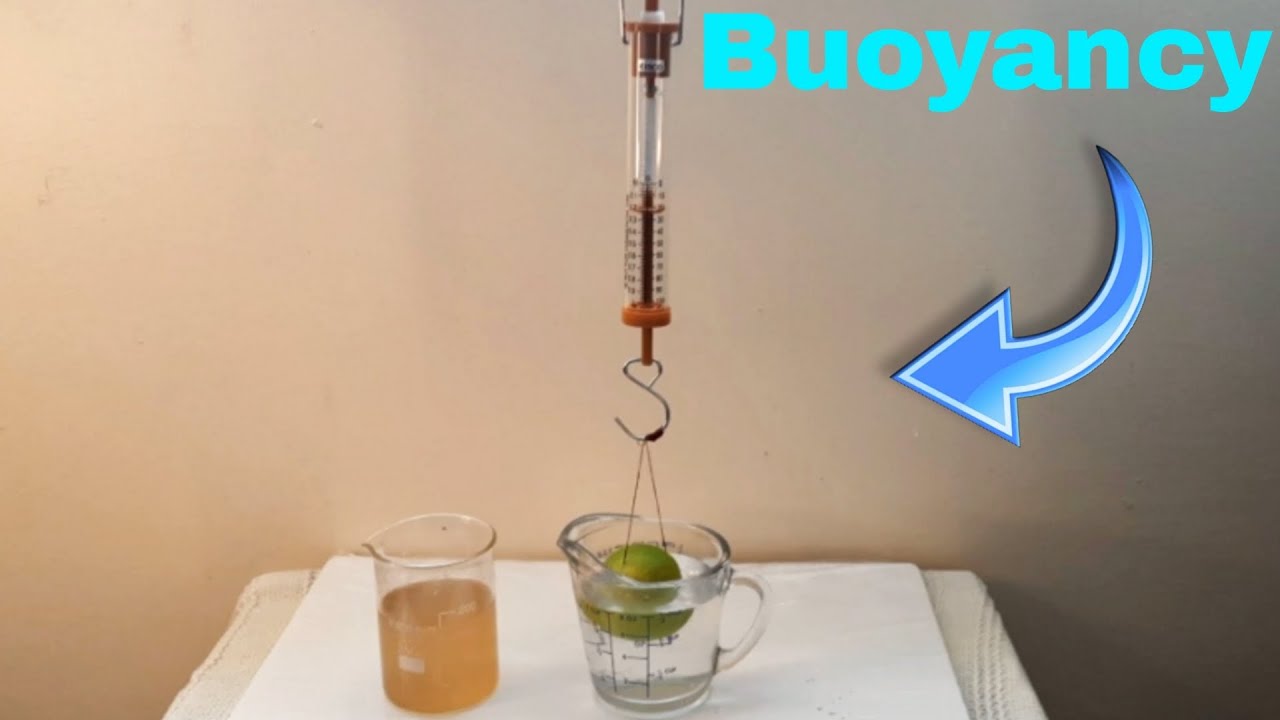 Buoyant Forces in different Fluids matters Physics - YouTube
