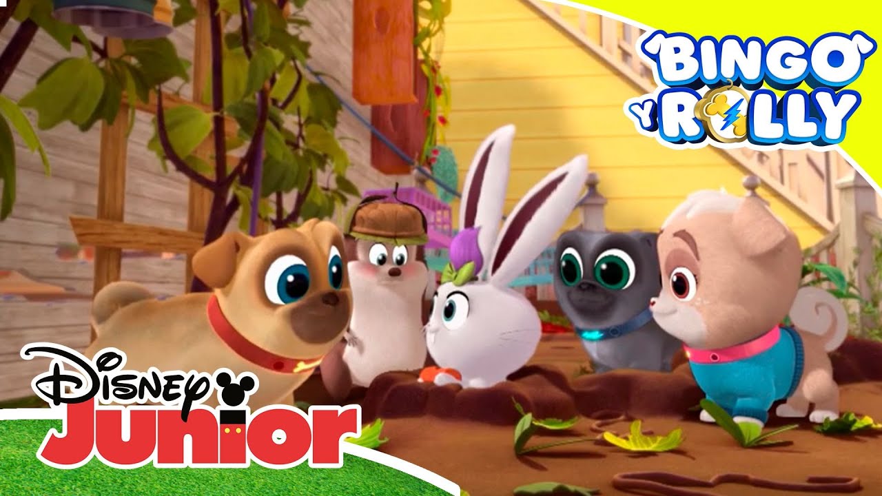 Bingo y Rolly: Momentos mágicos - Bingo y Rolly cazan al ladrón de ...