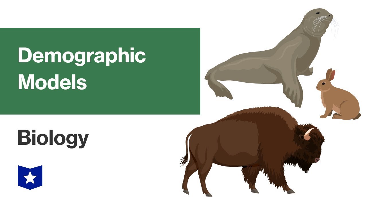 Demographic Models | Biology - YouTube