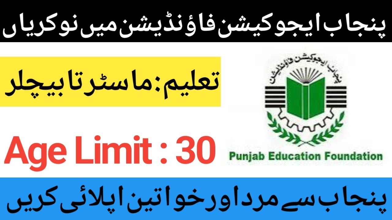 Punjab Education Foundation Jobs 2024/New PEF Jobs 2024/Today Jobs in ...