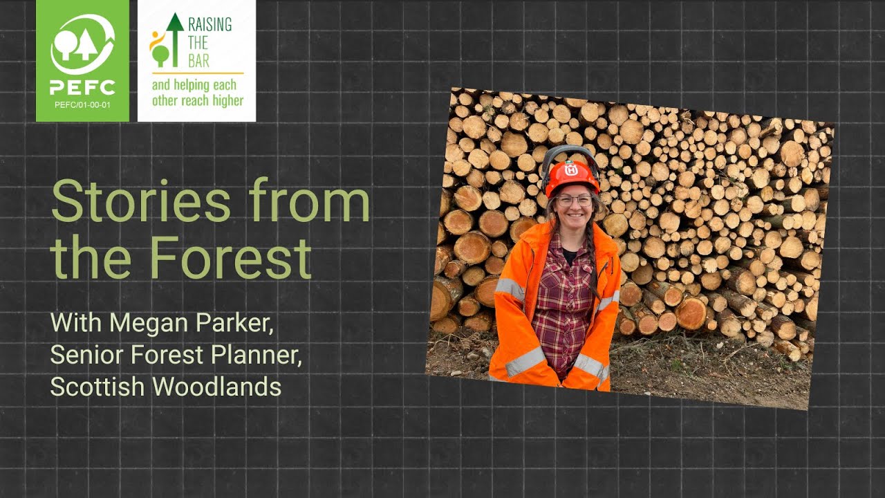 In the forest with Megan Parker: the power of sustainable forestry ...