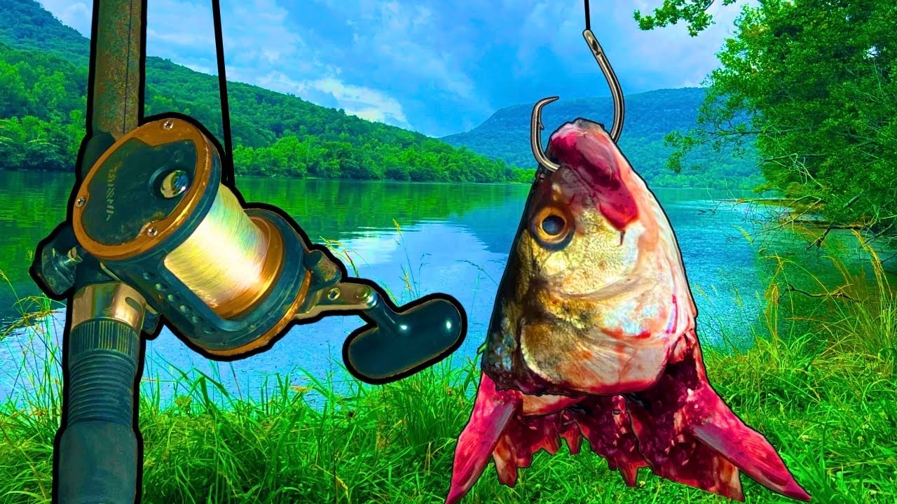 Easy Way To Catch TROPHY CATFISH!!! (Catfish Love This Bait) - YouTube