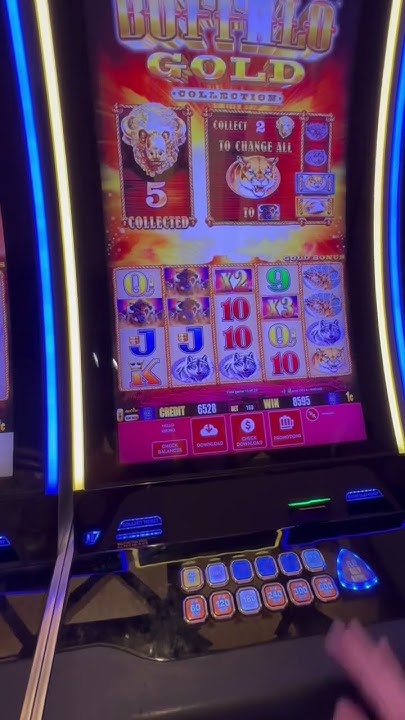 Por essas e outras essa é a máquina favorita dela! P2 #cassino # ...