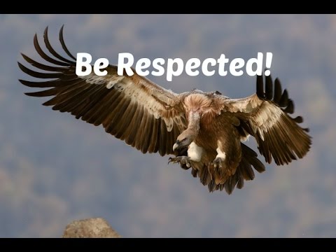 Success Secret - Be Respected Not Liked - YouTube