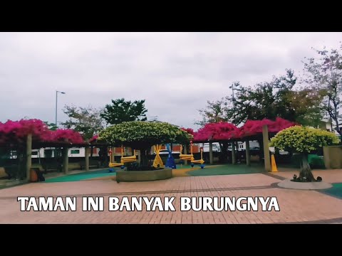 taman ini di penuhi bunga dan burung merpati, tkw hongkong ...