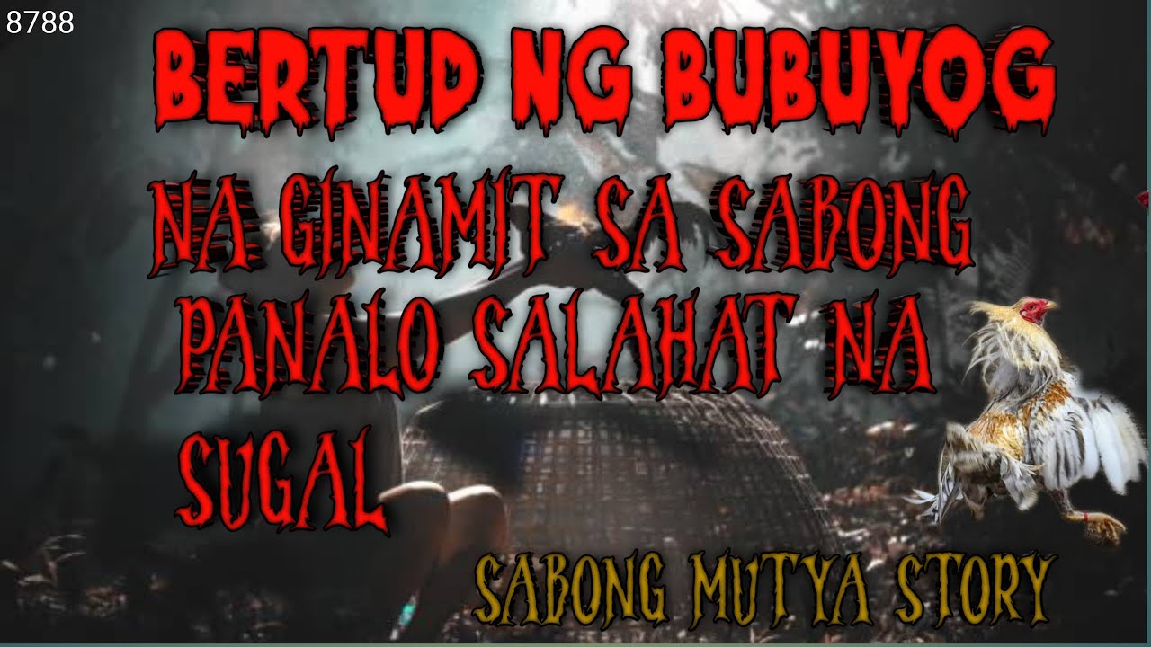 NOLE MGA ERMITANYO AT ANTINGERONG SABONGERO MANGANGATAY NG MGA ASWANG ...