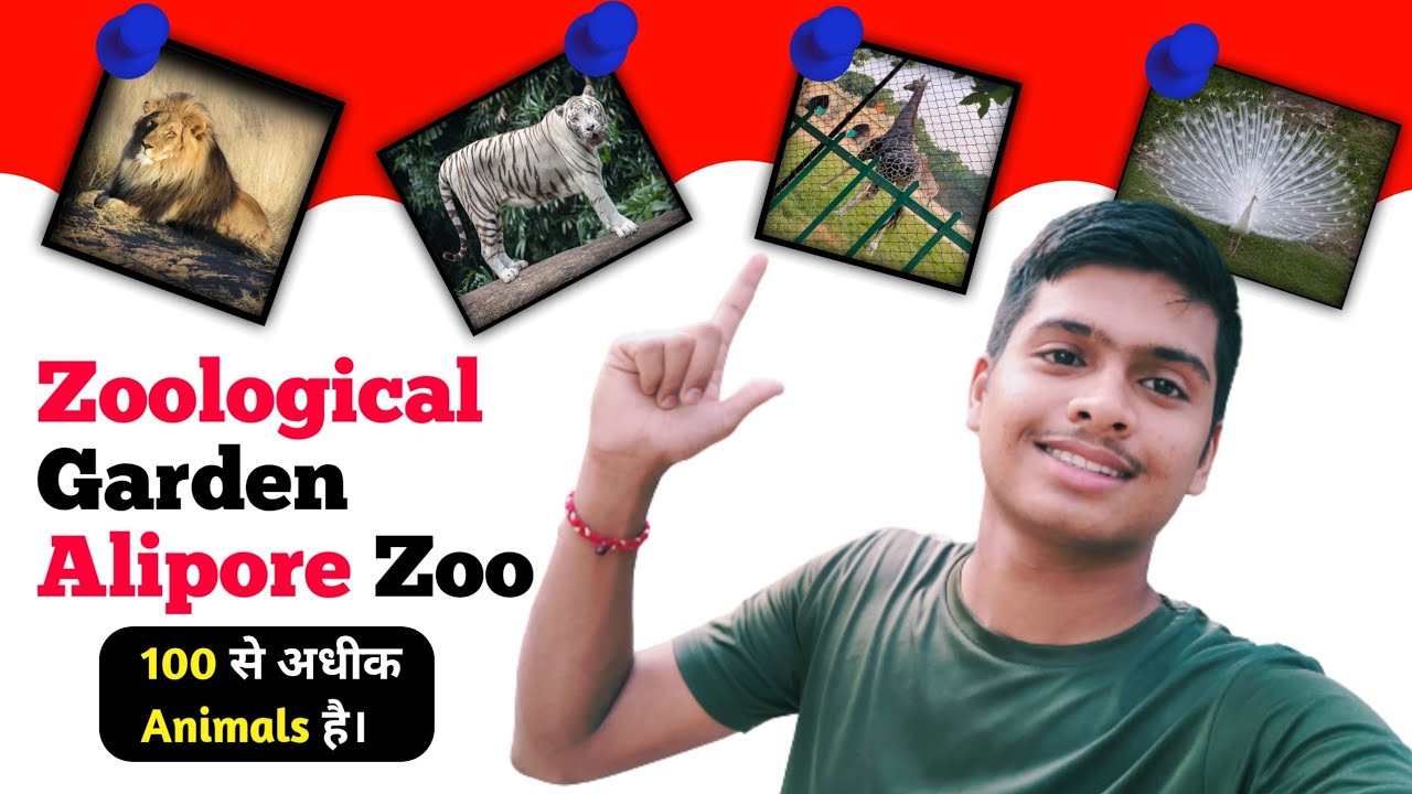 Zoological Garden Alipore Zoo || Zoological park in Kolkata West Bengal ...