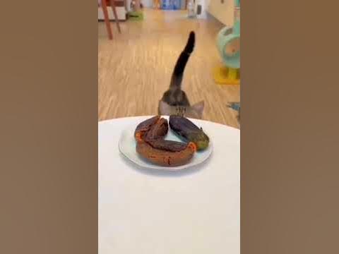 Я очень голодный - YouTube
