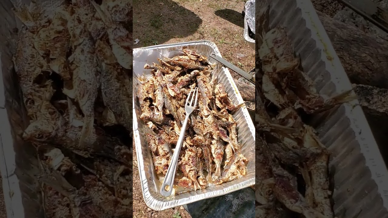 Jamaican Frying Sprat Fish - YouTube