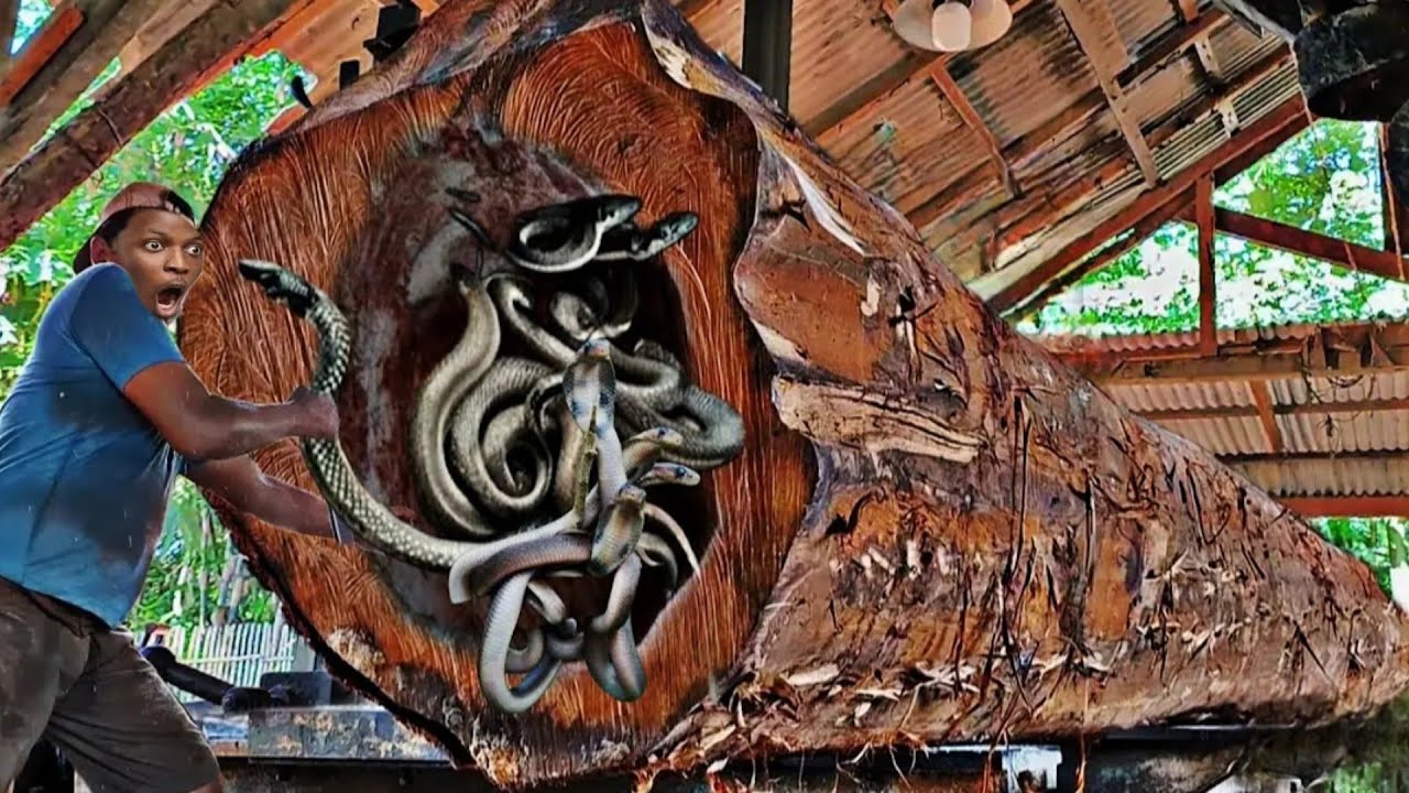 terrifying !!! this is the form of mysterious red wood hundreds of ...