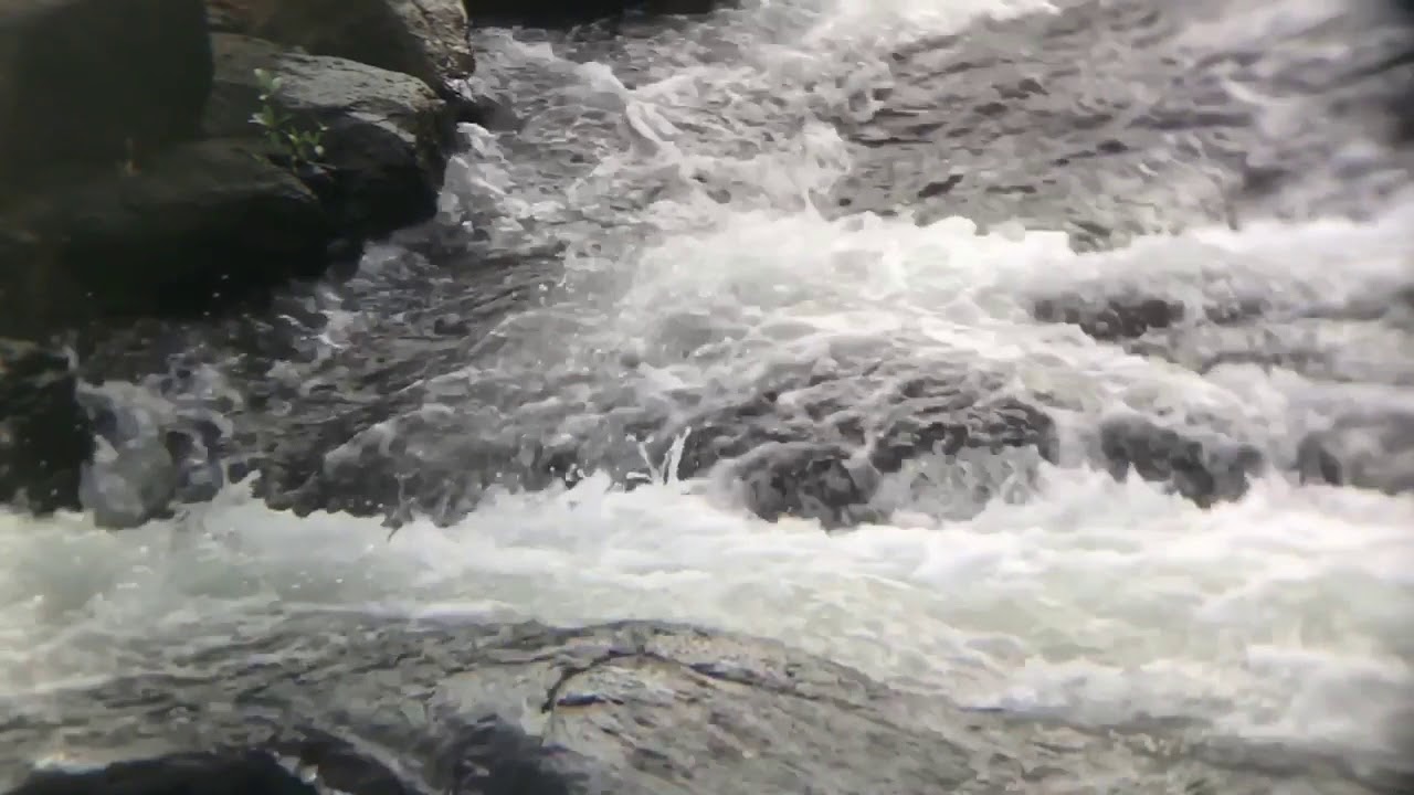 The mother nature at dhamod -tulsi dam - YouTube