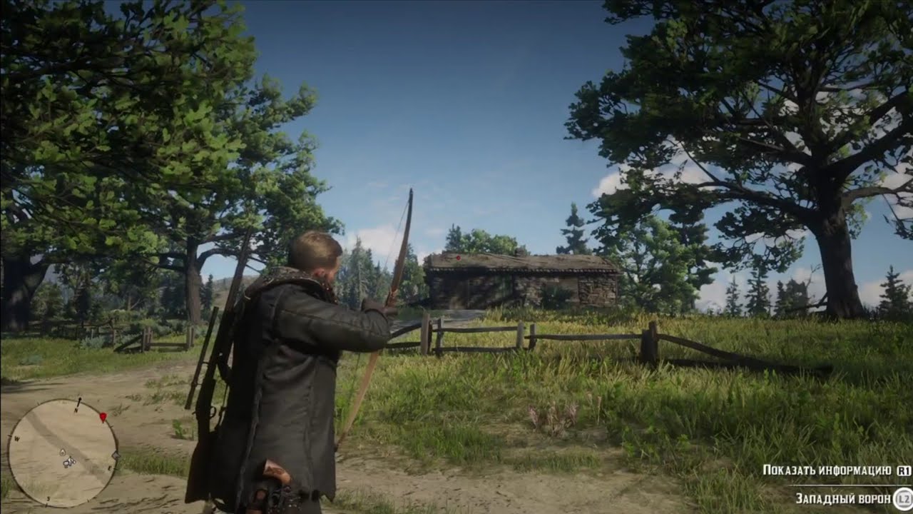 Западный ворон (western raven) Red Dead Redemption 2 - YouTube