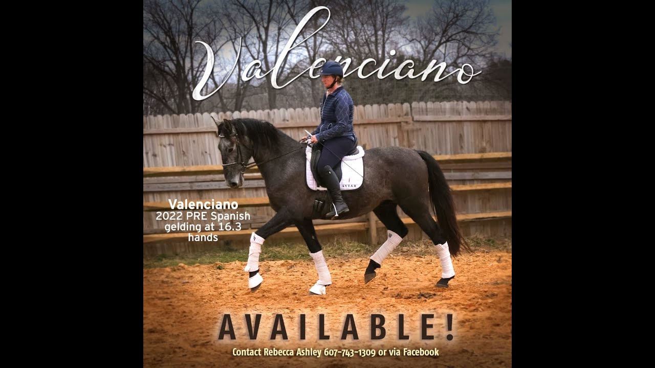 For Sale: Valenciano - YouTube