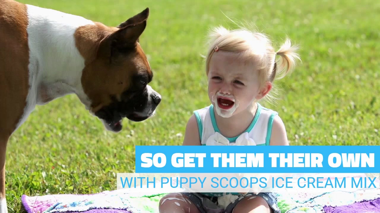 Do dogs love ice cream? - YouTube