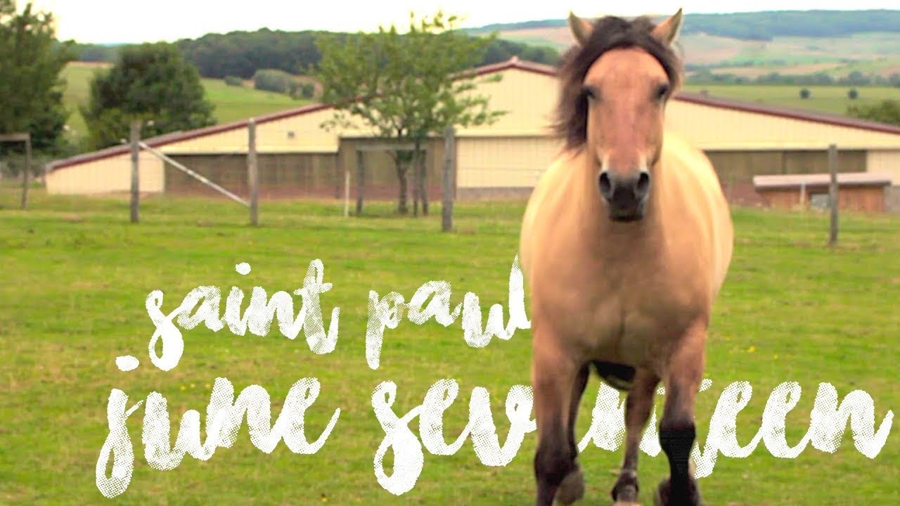 LIFE on a french farm! | June 2017 - YouTube