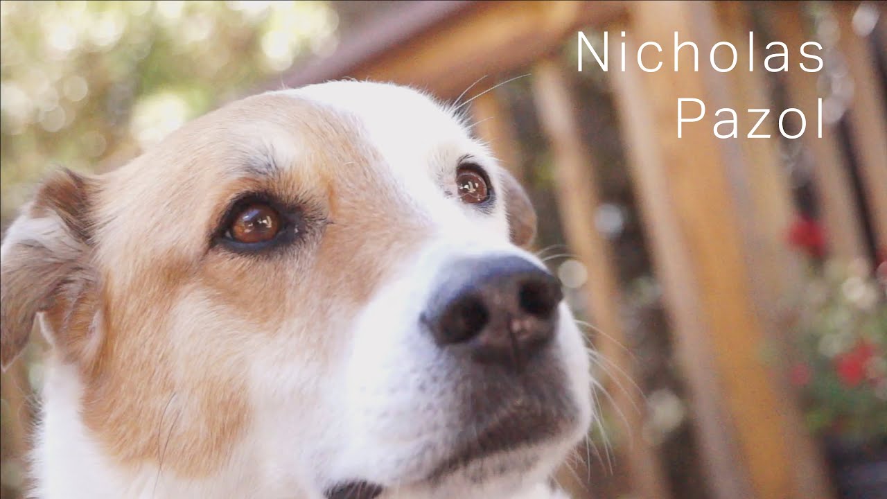 Nicholas Pazol - YouTube