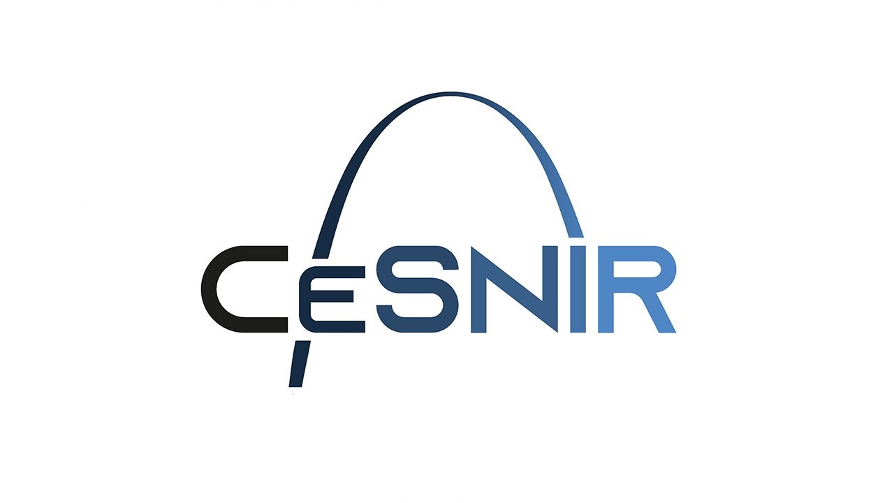 Presentazione dell'azienda CeSNIR - Intervista ad Alessandro Merlino ...