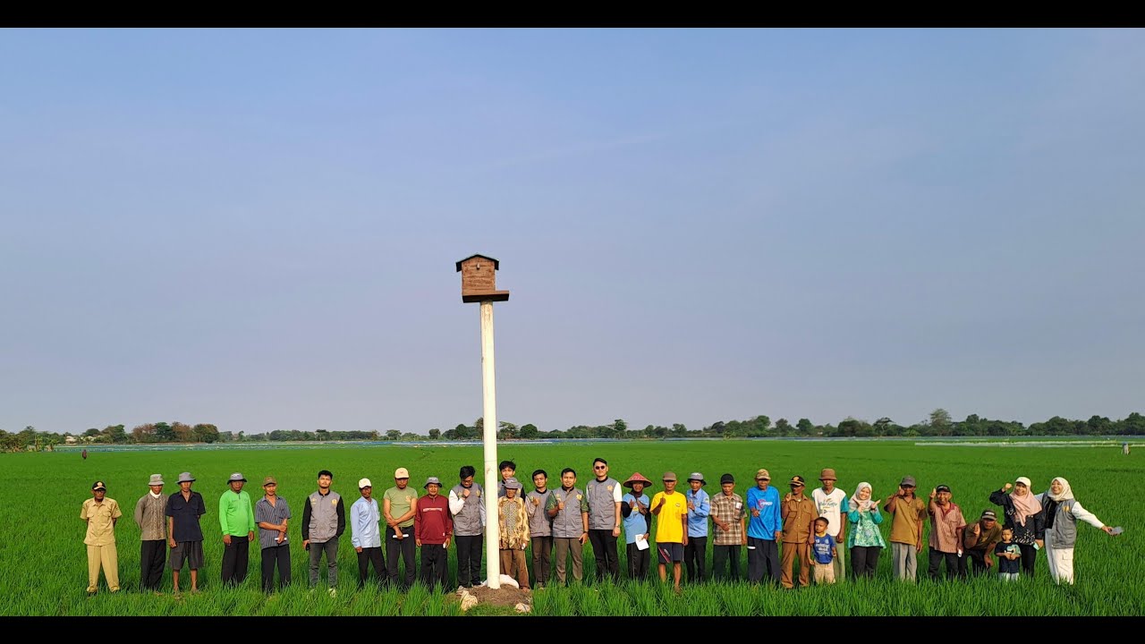 Team Leader: Satriyo Restu Adhi - Farmer Field School in Sindangkarya ...