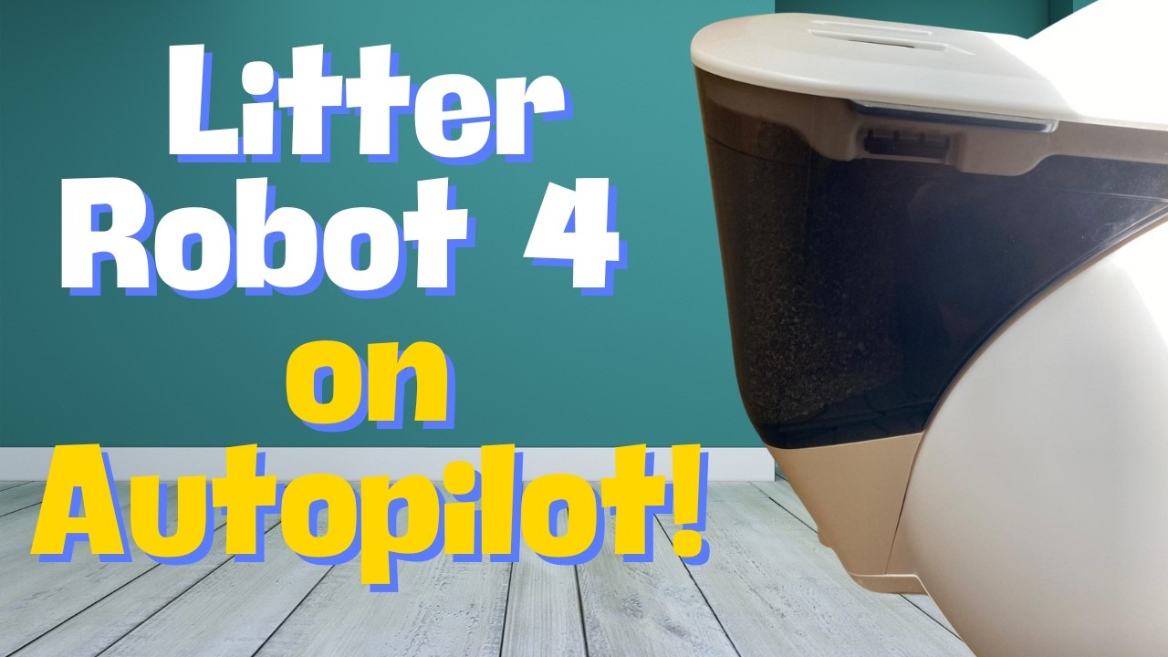 My Litter Hopper Review | Does It Work As Intended? - YouTube