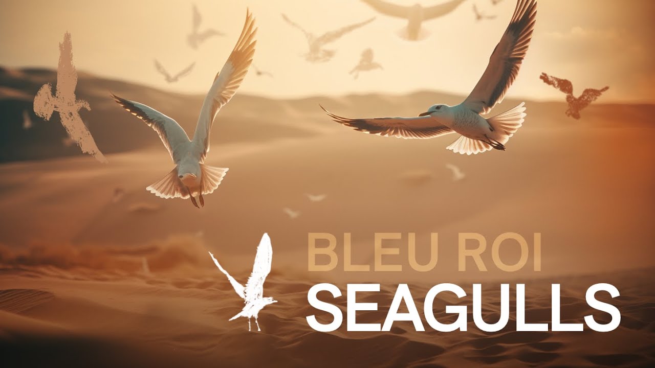 BLEU ROI - Seagulls (Official Video) - YouTube