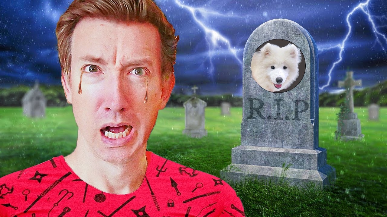 SPY NINJA DOG IS DEAD?! (Chad Wild Clay , Vy Qwaint) - YouTube