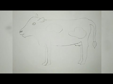 Cara Gambar Sapi Dengan Mudah - YouTube
