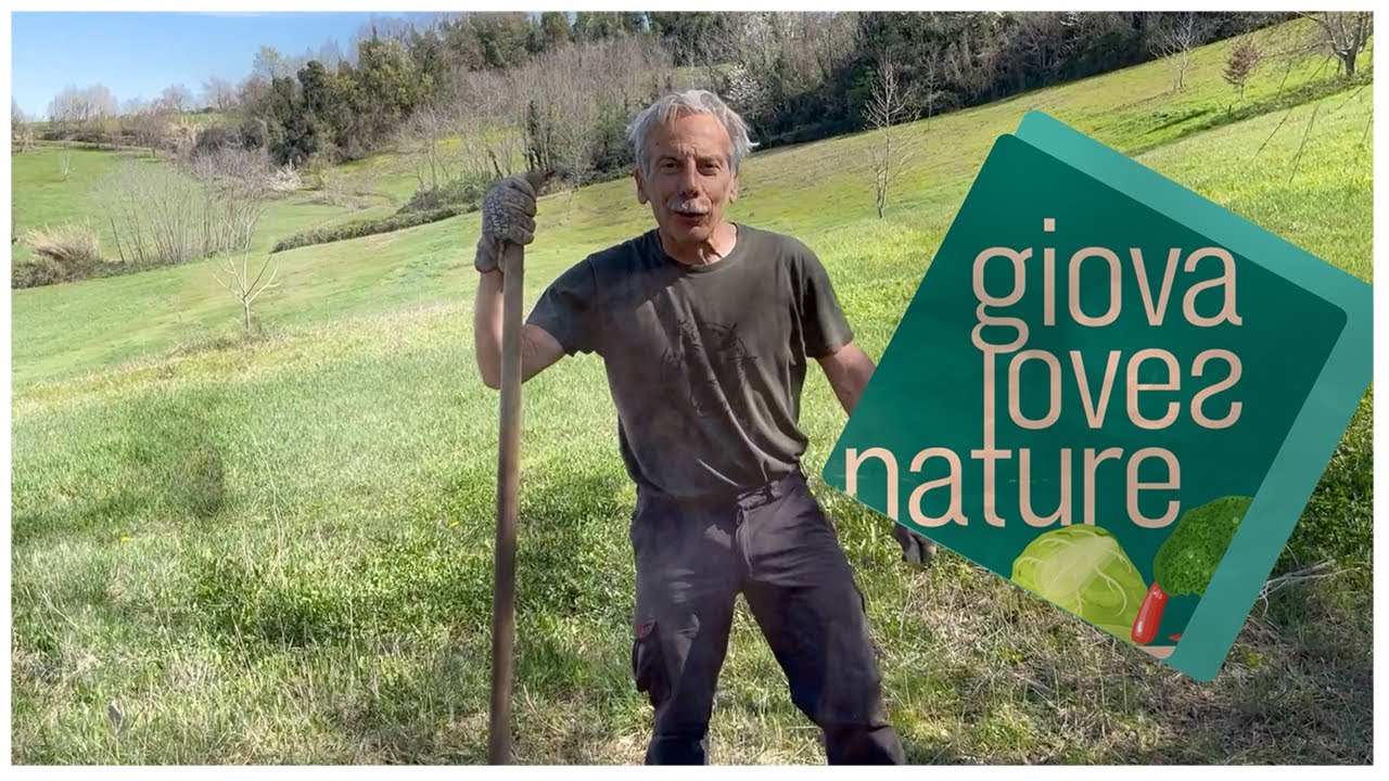 Lo stagno! - YouTube