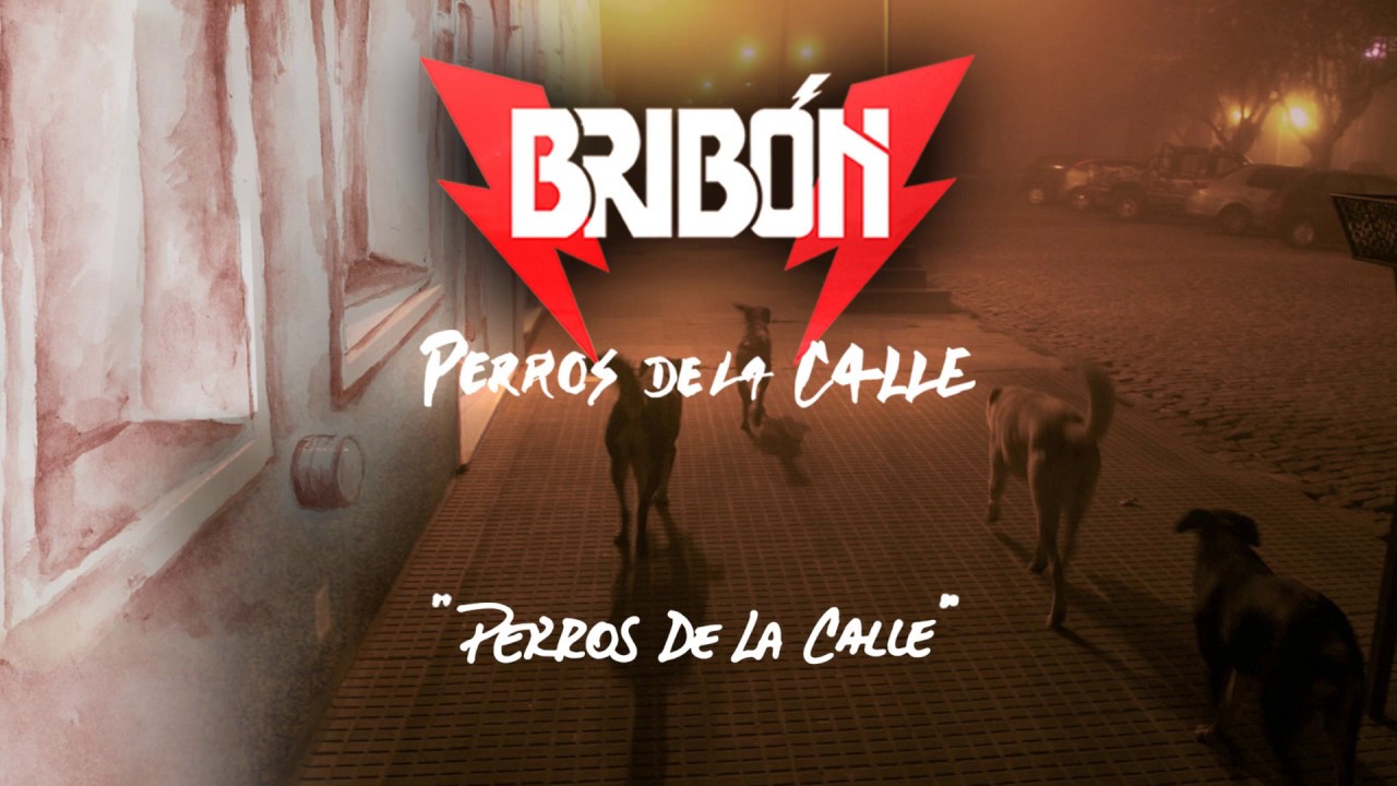 Bribón - Perros de la Calle (VERSIÓN ÁLBUM) - YouTube