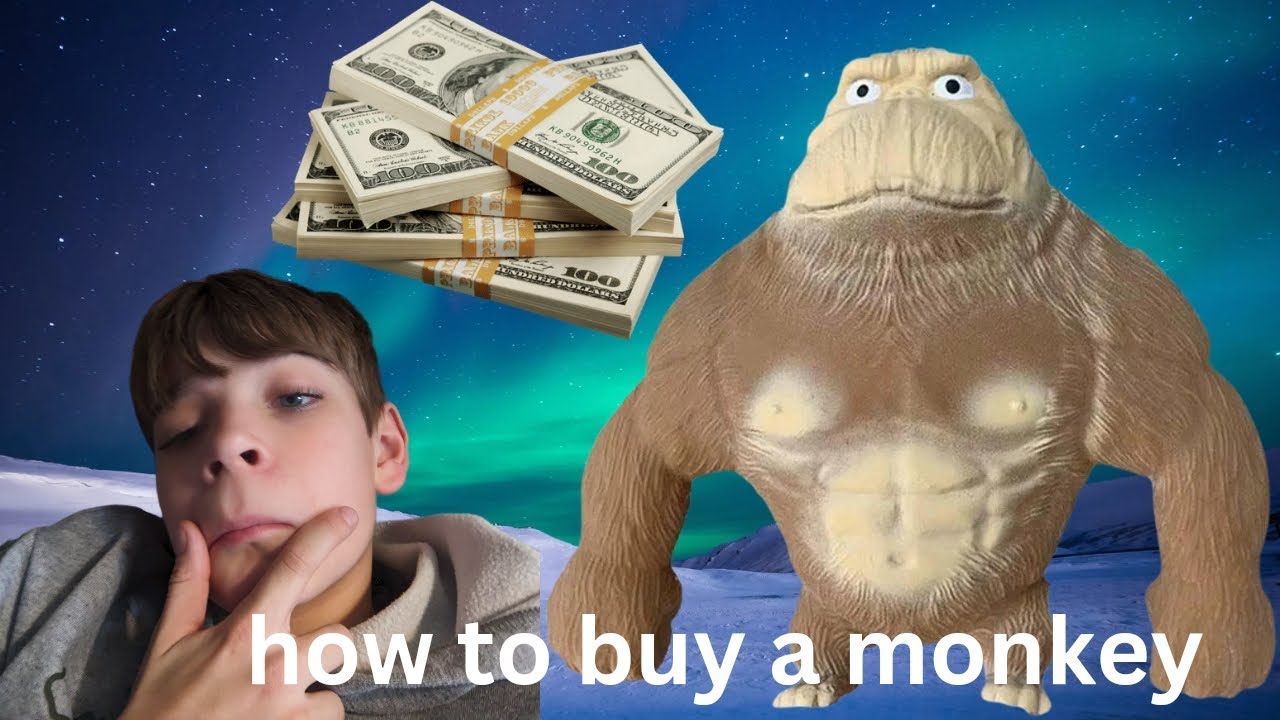tutorial of how to buy a MONKEY... - YouTube