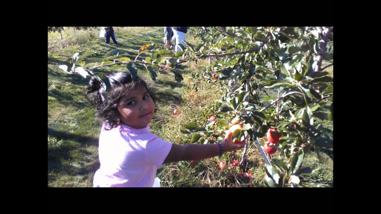 A TRIP TO HARBES FARM & ORCHARD - YouTube