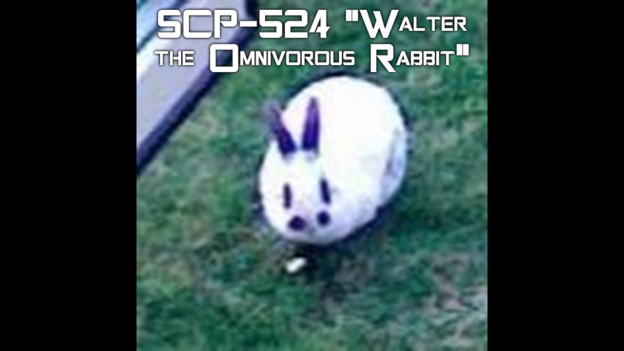 SCP-524 "Walter the Omnivorous Rabbit" - YouTube