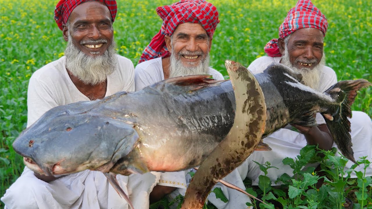 Giant Goonch Catfish