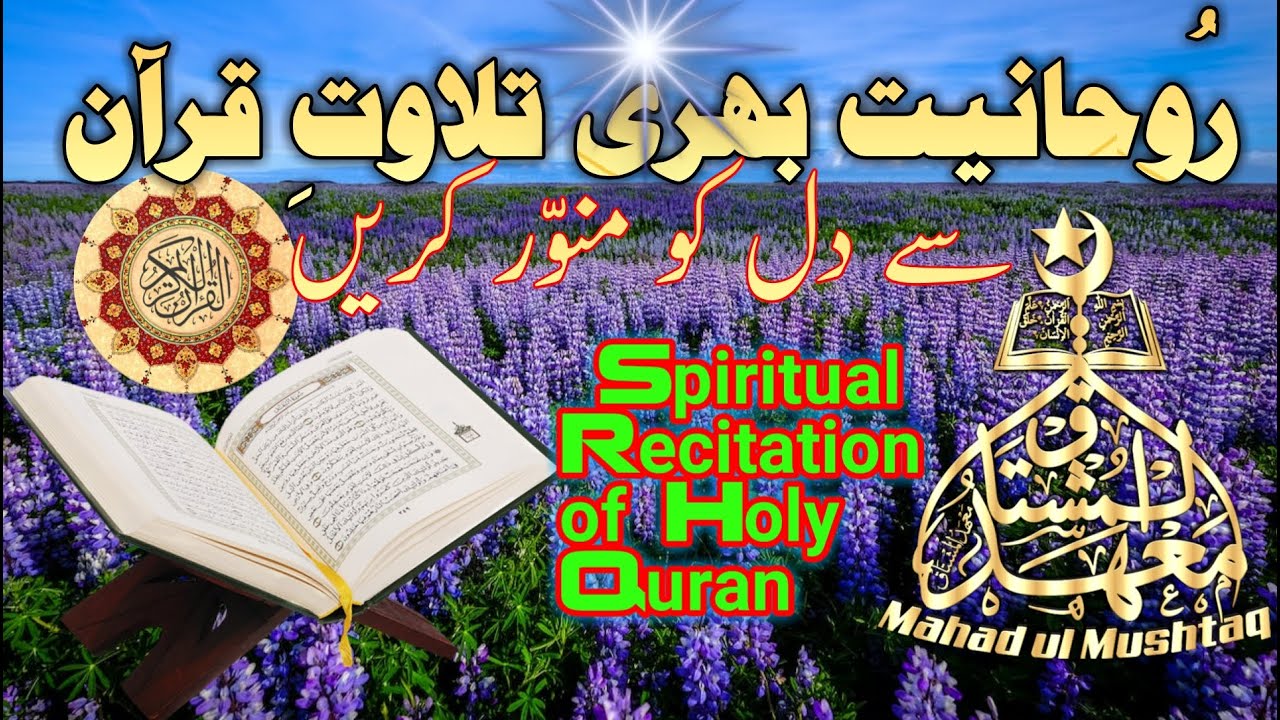 Best Voice in Beautiful Quran Recitation| Tilawat e Quran Beautiful ...