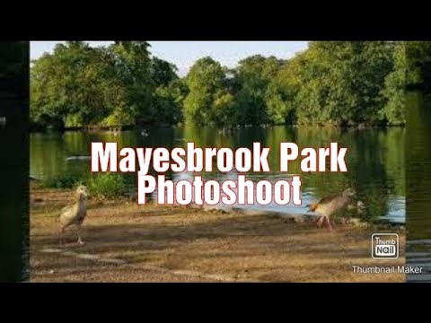 Mayesbrook Park Barking and Dagenham /Royalty Free Images / London Park ...
